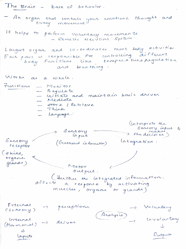 Brain Lec 1 1 | PDF