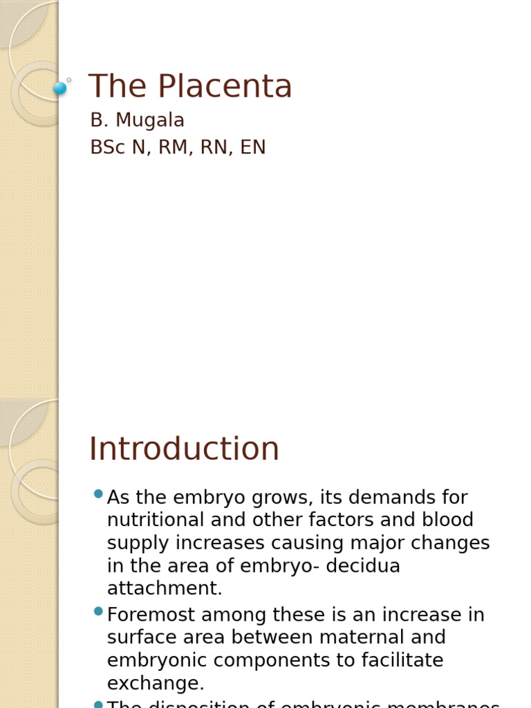 Lesson 6. The Placenta | PDF | Placenta | Anatomy