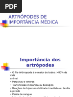 Sintomas da Tungíase e Cuidados | PDF | Doenças e distúrbios | Remédio