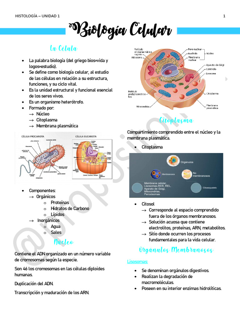 UNIDAD 1 - BIOLOGIA CELULAR | PDF | Citoplasma | Membrana celular