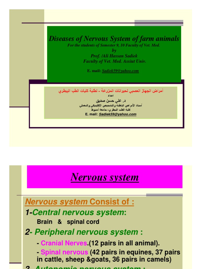 Diseases of Nervous System of Farm Animals by Ali Sadiek | PDF ...
