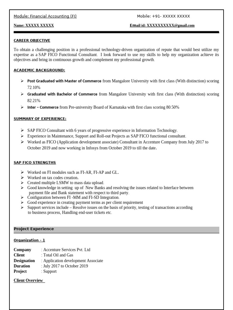 Experience Resume | PDF | Consultant | Petroleum