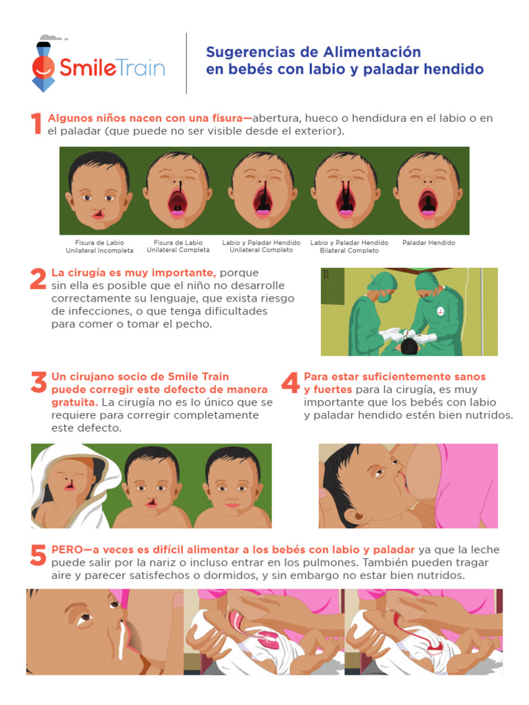 Feeding One Pager Spanish | PDF | La leche materna | Leche