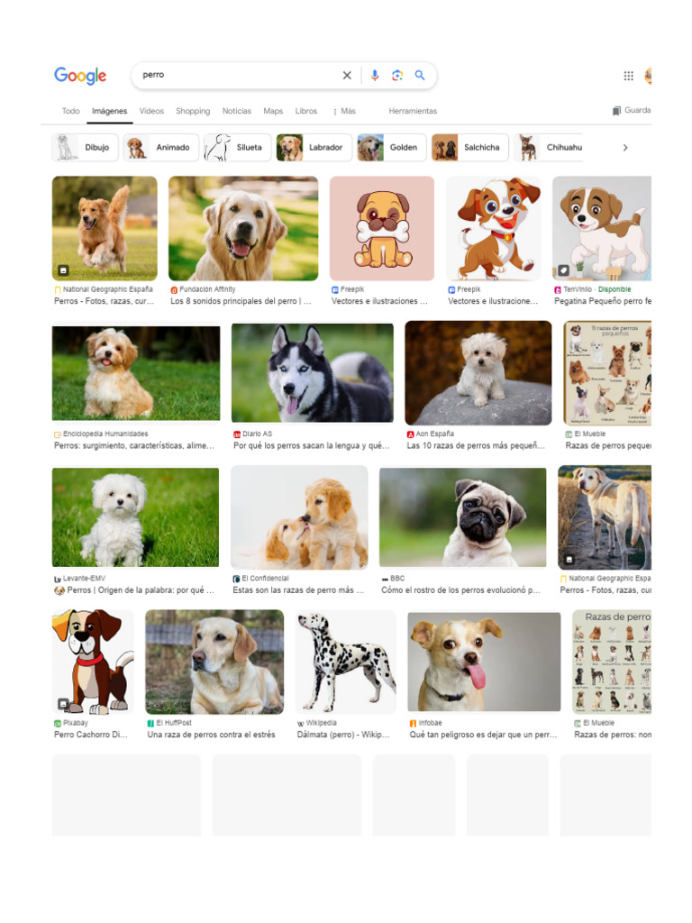 perro - Buscar con Google | PDF | Perros | Razas de perros
