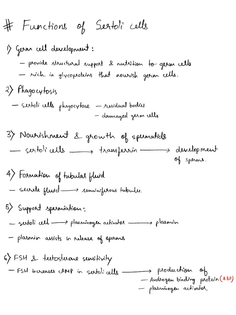Semester 2 Imp | PDF