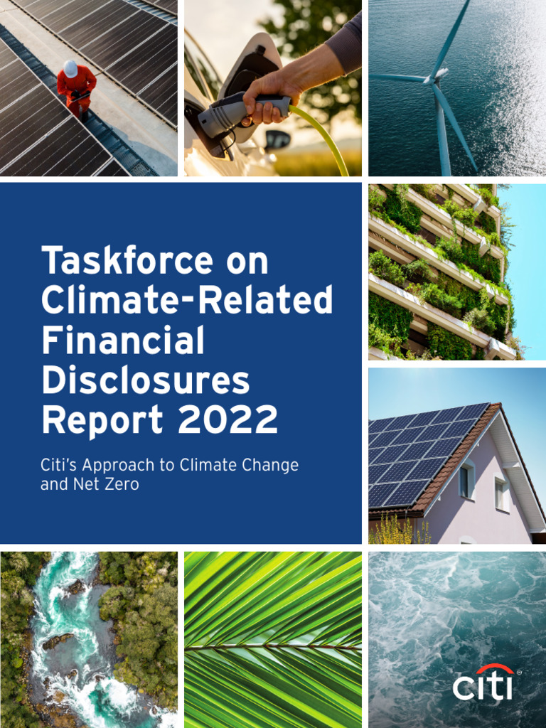 TCFD CitiBank | PDF | Climate Change Mitigation | Economies