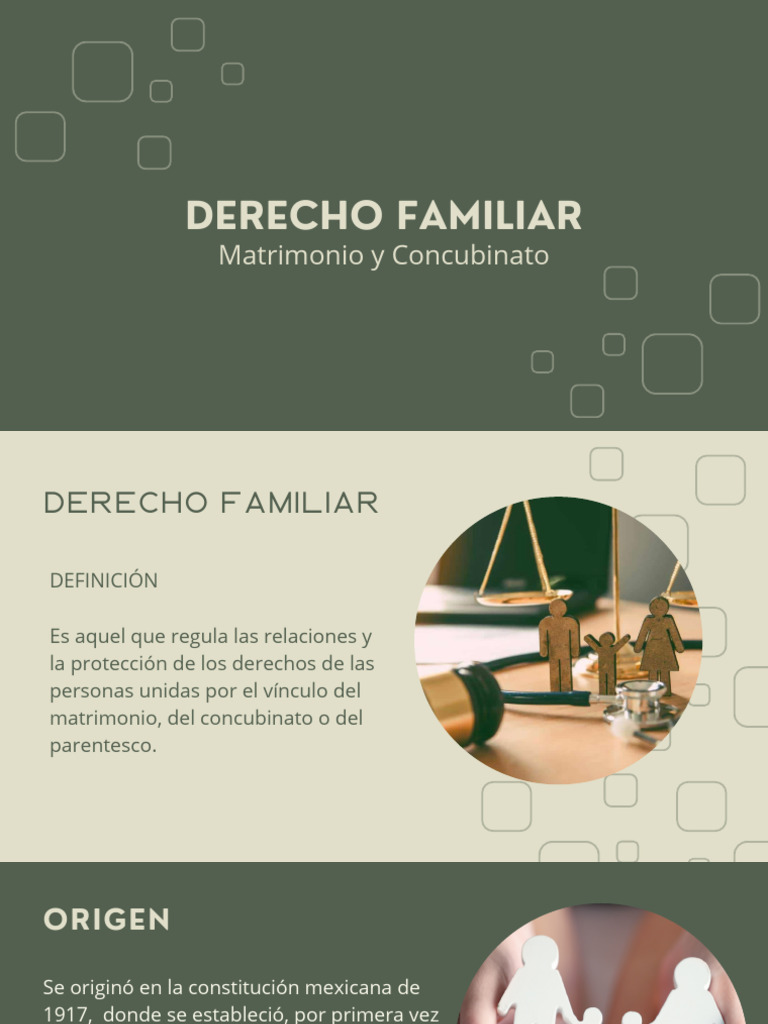 Derecho Familiar | PDF | Matrimonio | Familia