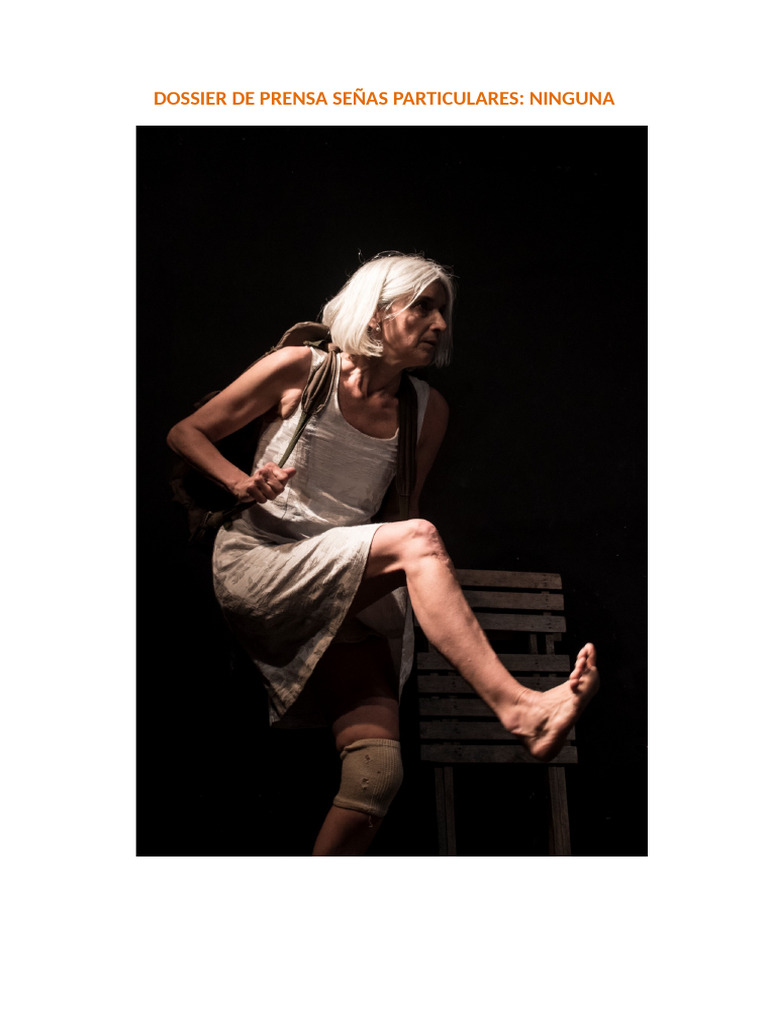 Dossier de Prensa SPN | PDF