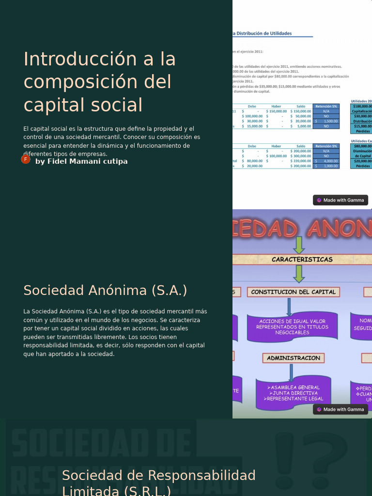 Introduccion a La Composicion Del Capital Social | PDF | Sociedad de ...