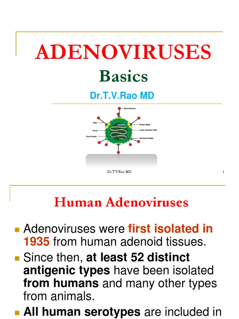 ADENOVIRUS DISEASES | Adenoviridae | Virus