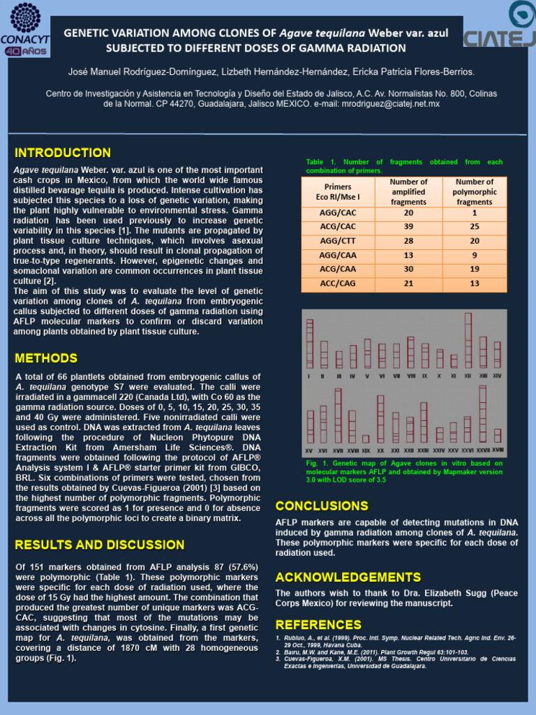 Poster I Simposio Agave | PDF | Genetic Linkage | Absorbed Dose