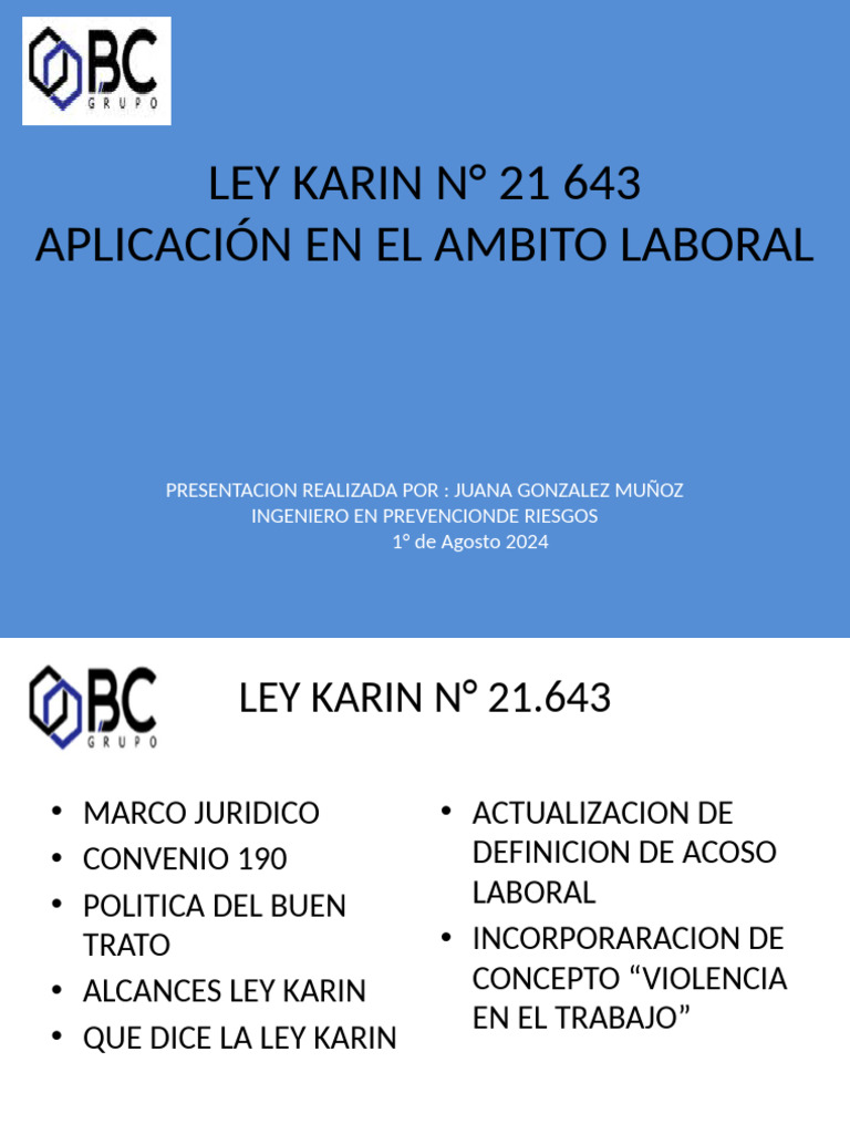 Ley Karin | PDF