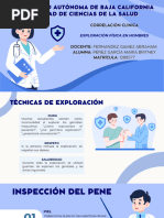 2.7. Exploración Testicular. 2.8. Escroto. 2.9. Técnicas y Maniobras de ...