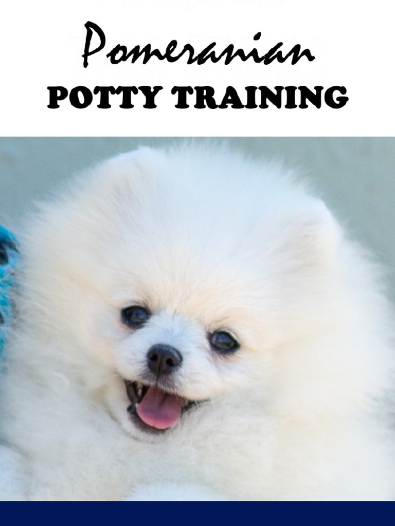 Pomeranian-Potty-Training-Explained_631 | PDF | Urination