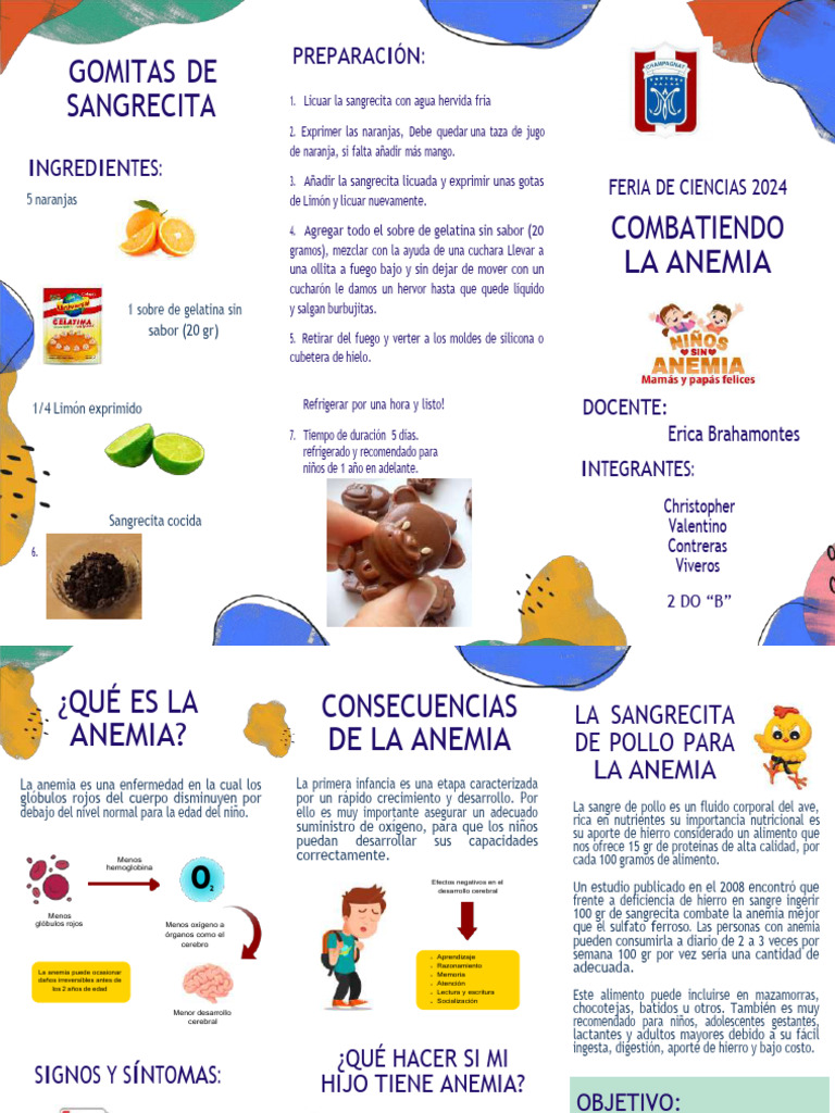 Triptico Christopher Anemia | PDF | Anemia