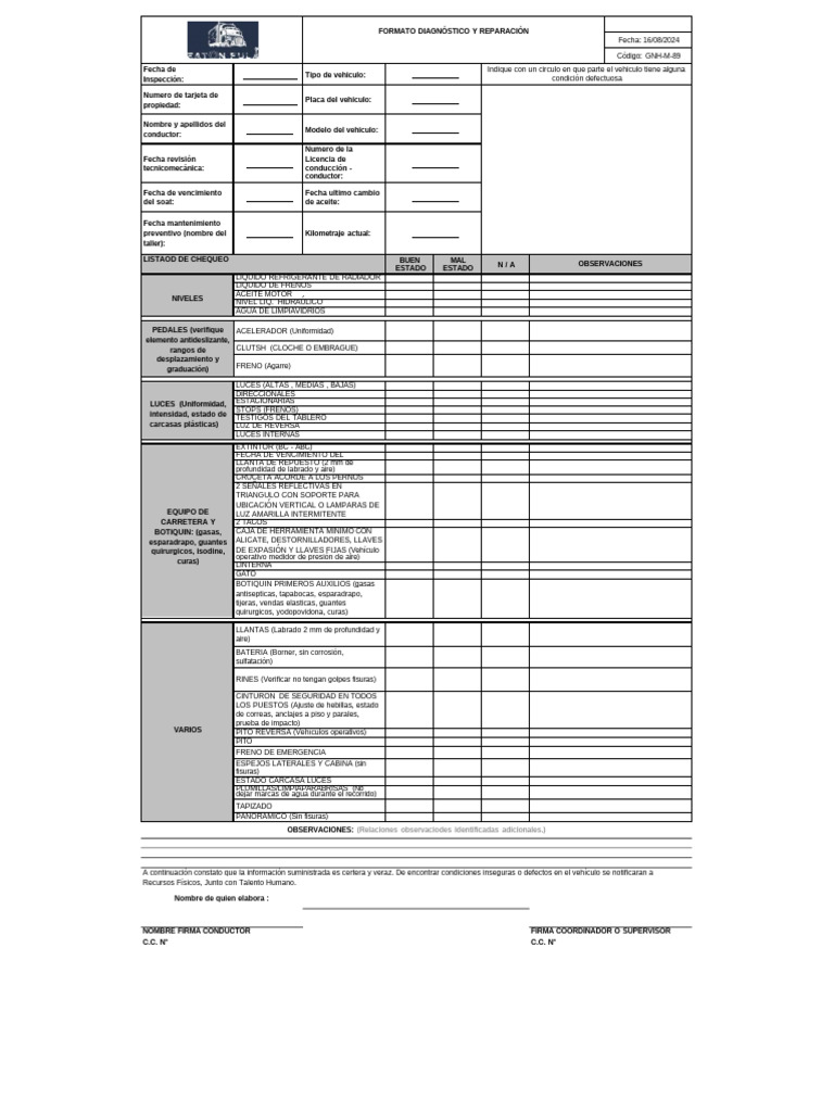 Formato Diagnóstico Daniel Duran | PDF | Tecnología de vehículos | Industria automotriz
