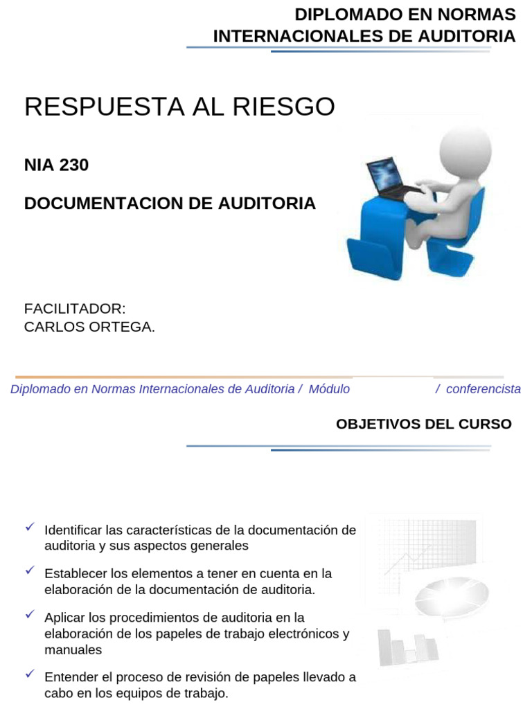 NIA 230 - Documentacion de Auditoria - Supersociedades | PDF ...