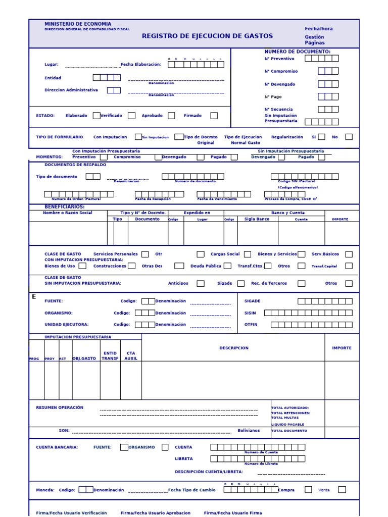 Form C-31 Registro Ejecucion de Gastos | PDF | Dinero | Economias