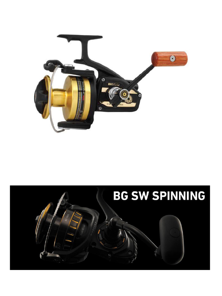 Daiwa BG SW The Review by Alan Hawk | PDF | Gear