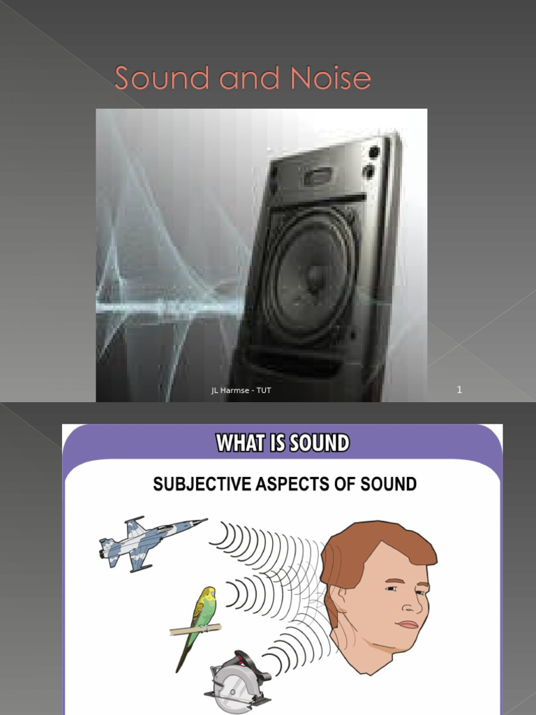 Unit 8 OHS206 T Sound and Noise Part 1 | PDF | Sound | Hearing