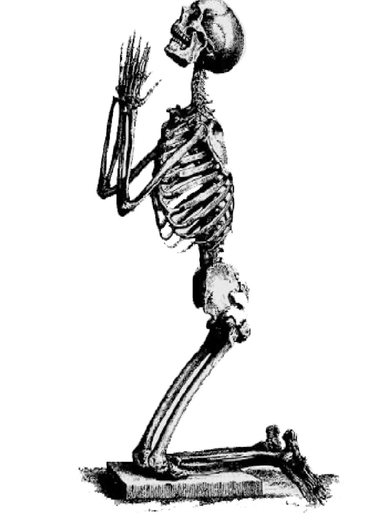 Skeleton Project | PDF