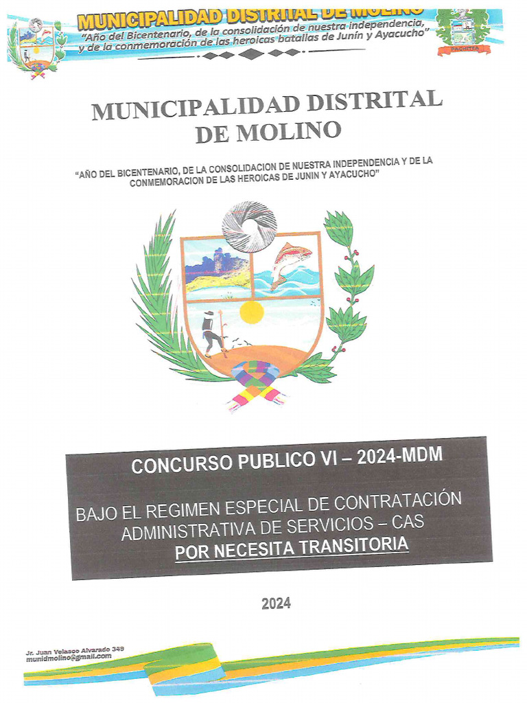 basess CAS VI -2024-MDM | PDF