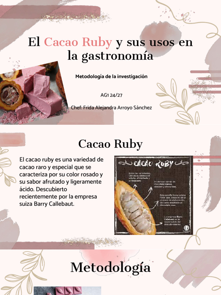 El Cacao Ruby y Sus Usos Gastronómicos - 062941 | PDF