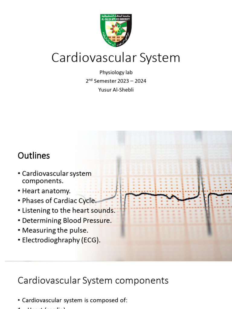 Cardiovascular System Lab | PDF | Heart | Electrocardiography