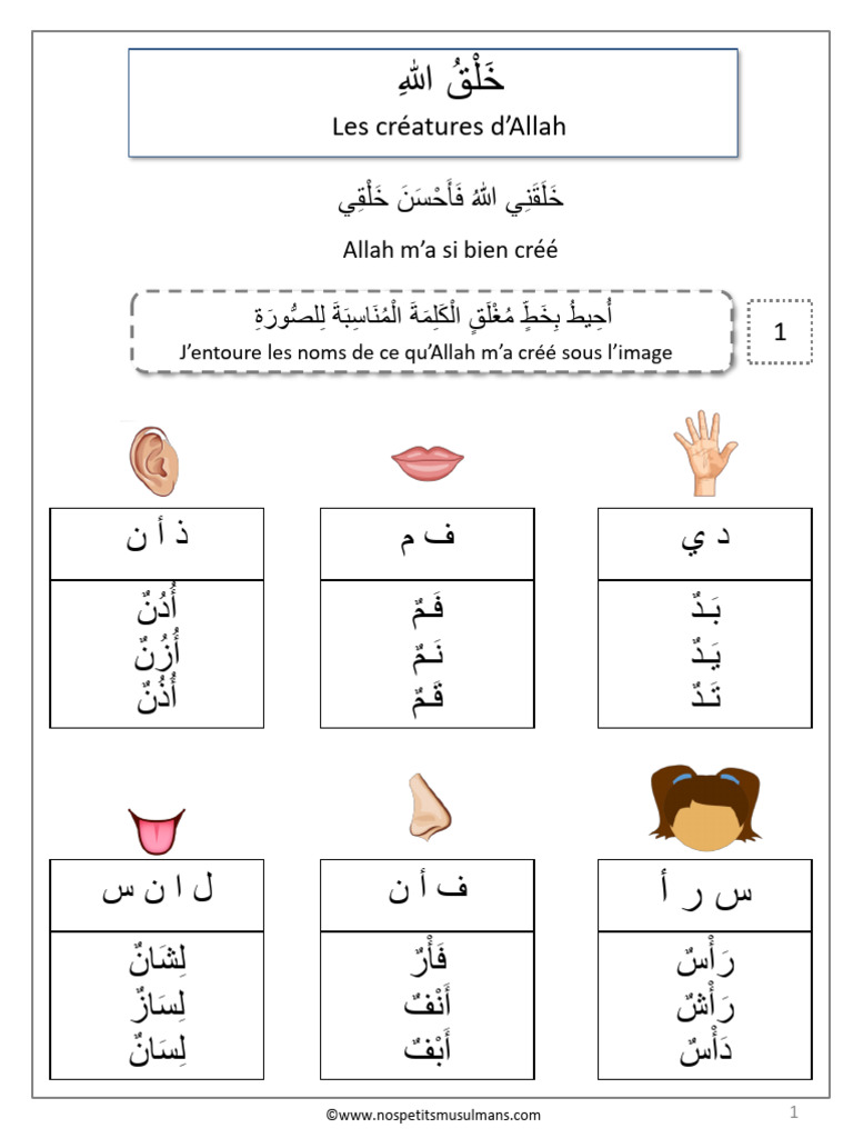 Creatures Allah | PDF