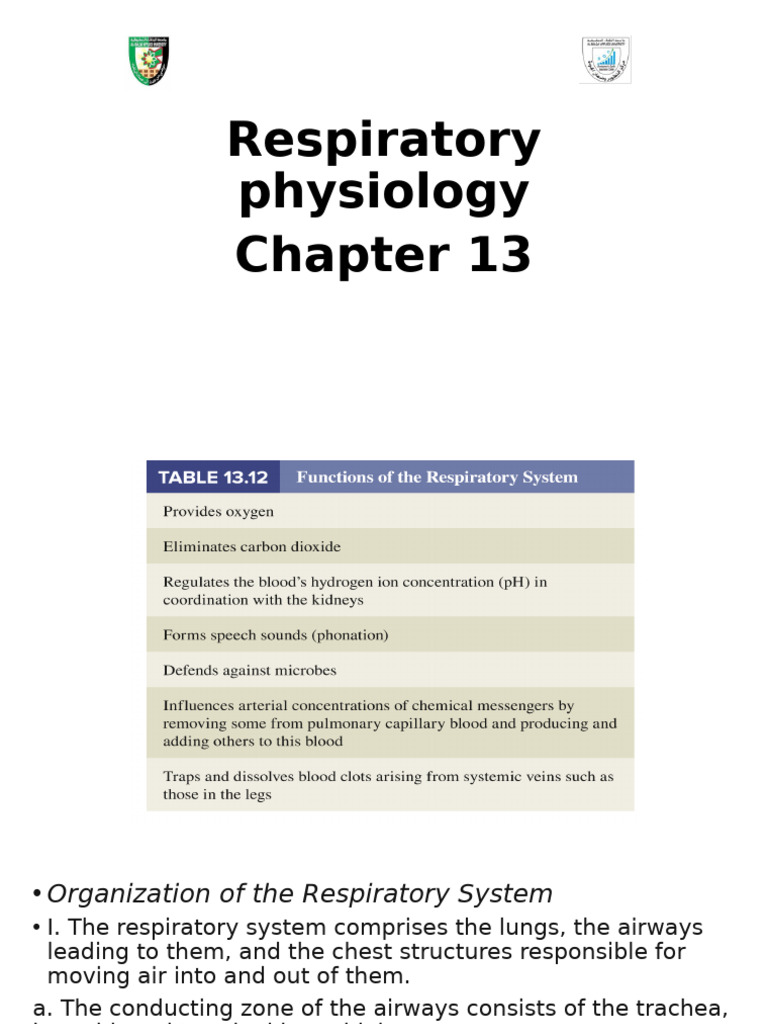 Chapter 13 Respiratory Physiology | PDF | Respiratory Tract ...