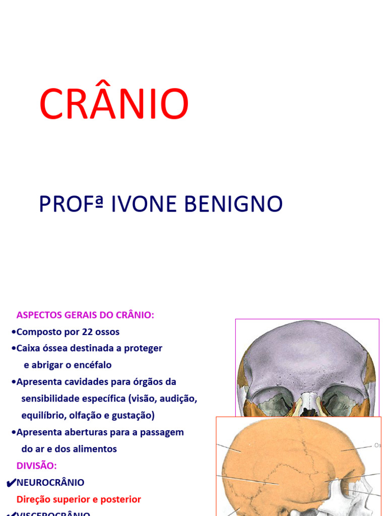 Aula 1 - Ossos Do Crânio | PDF | Sistema Locomotor | Sistema Esquelético