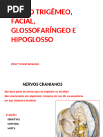 Anatomia dos Nervos Maxilar e Mandibular | PDF | Boca | Sistema nervoso