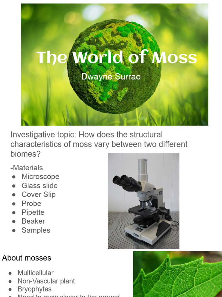 Moss Structure Across Biomes | PDF