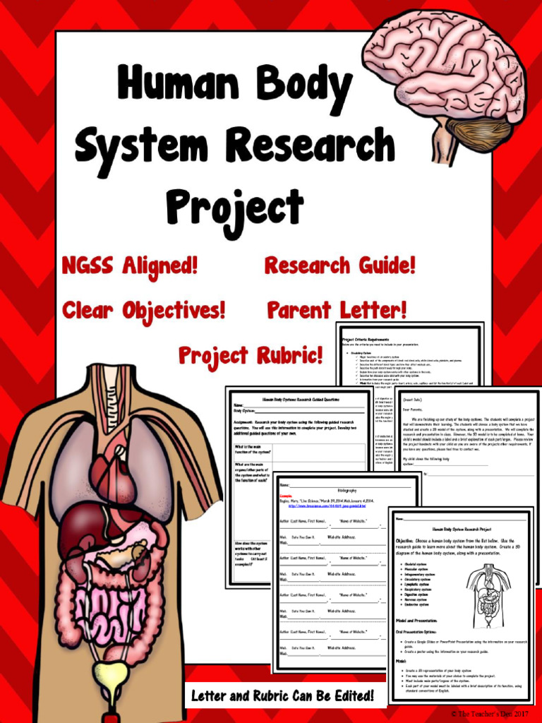 Human Body System Project PDF | PDF | Human Body | Muscle