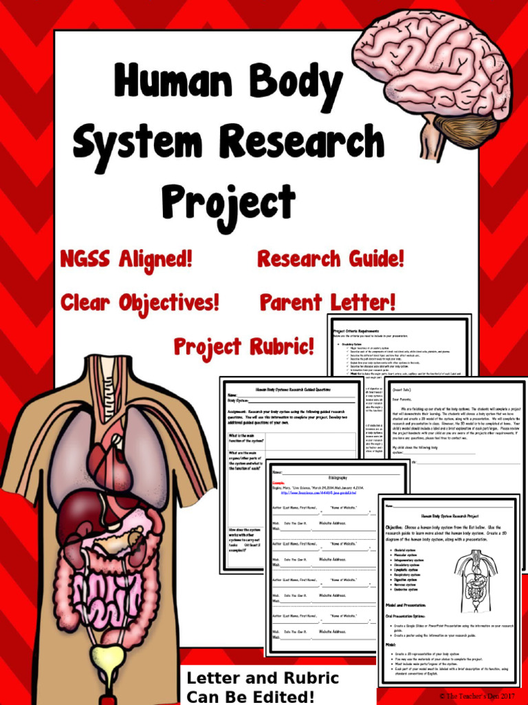 Human Body System Project | PDF | Human Body | Muscle