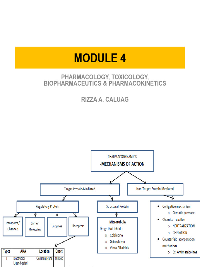 Module 4 Summary | PDF | Acetylcholine | Adrenal Gland