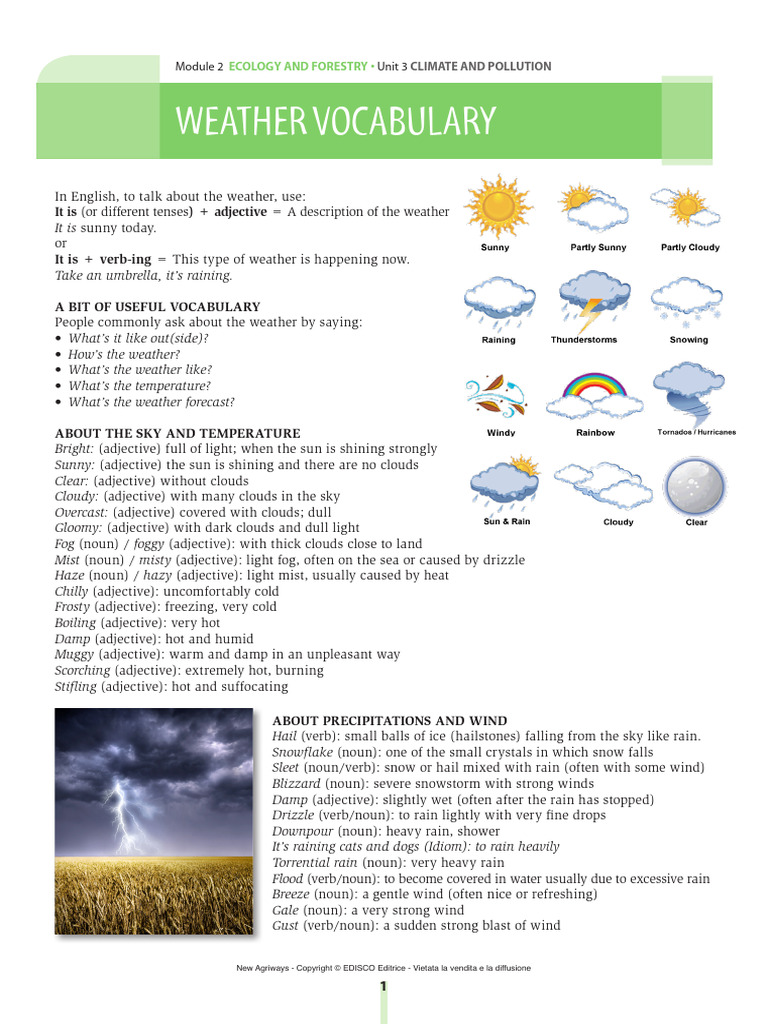 07 Weather Vocabulary | PDF | Fog | Weather