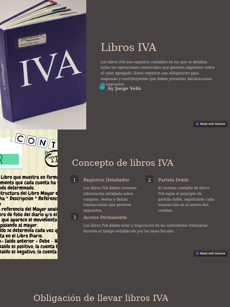 Libros IVA | PDF | Contabilidad | Impuesto al valor agregado