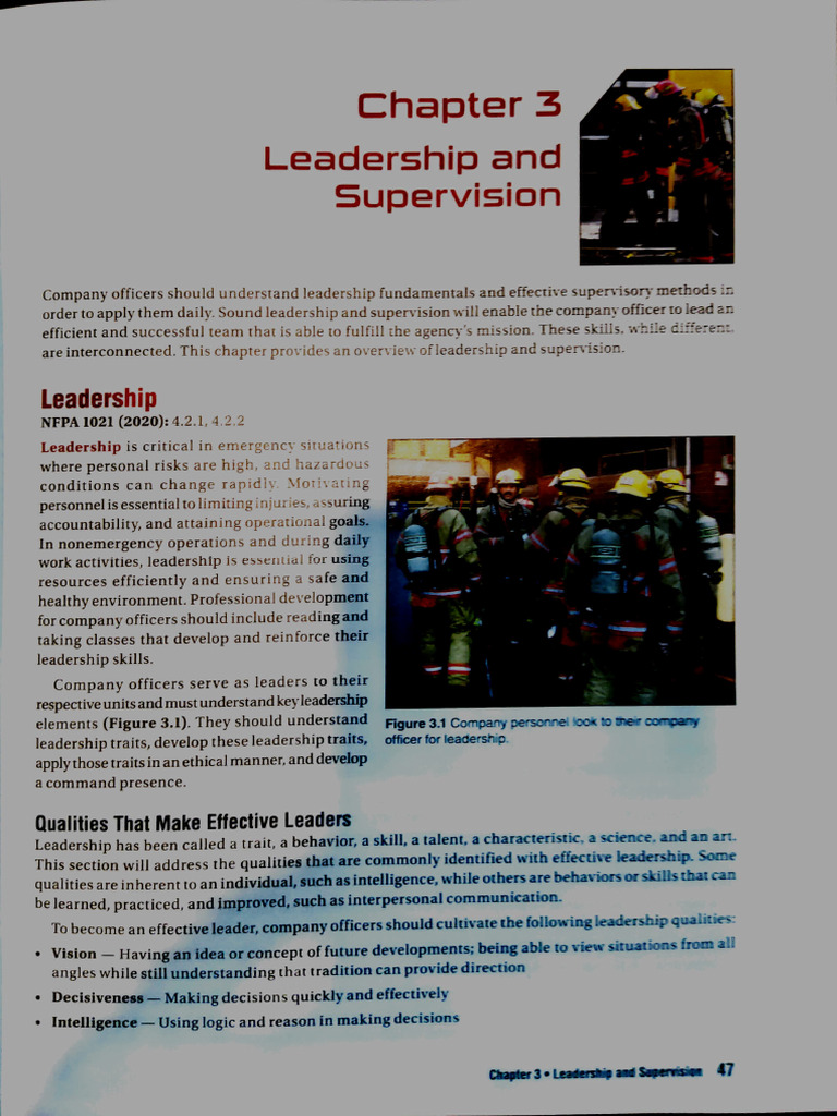 Cap 3 | PDF | Leadership | Emotional Intelligence