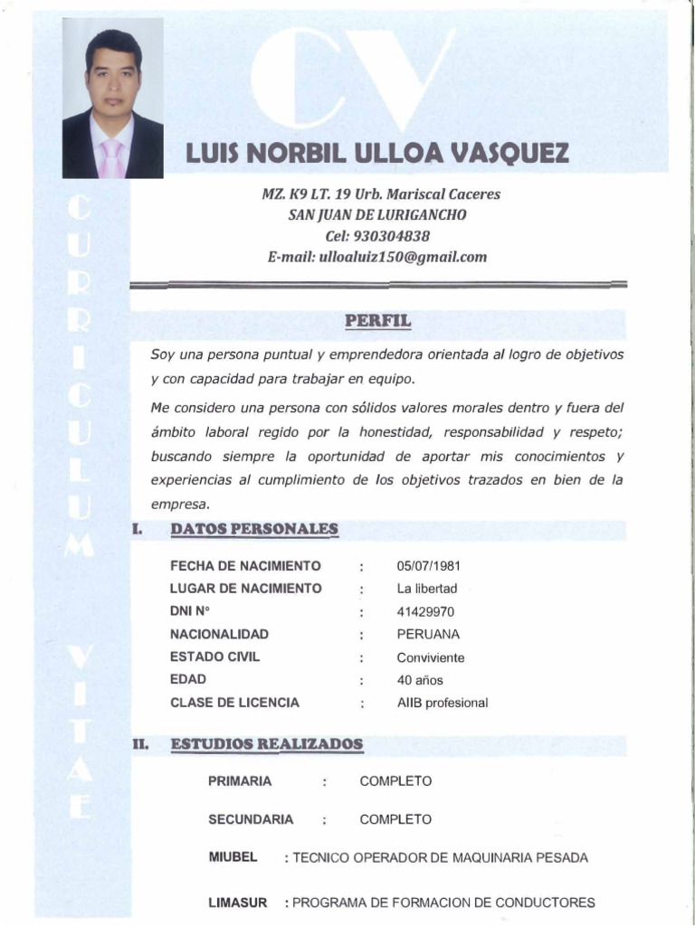 CV 2025 | PDF | Documento de identidad | Derecho laboral