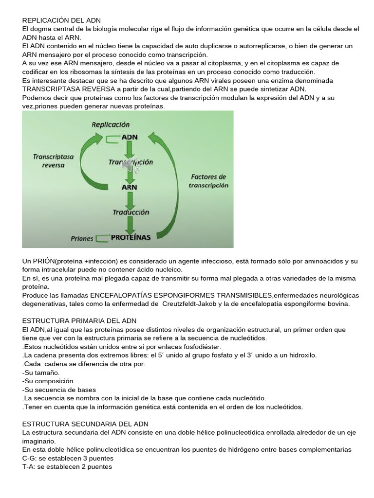 Bioqui 22+23 | PDF | Adn | Rna