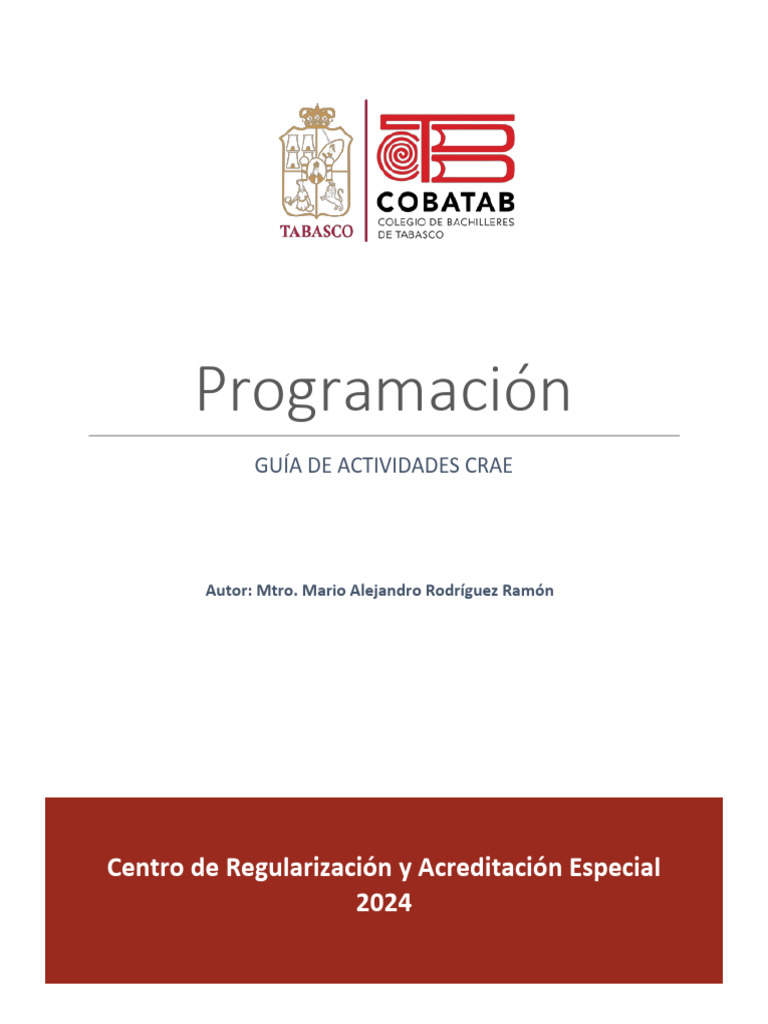 Guia Programacion | PDF | Programación de computadoras | Algoritmos
