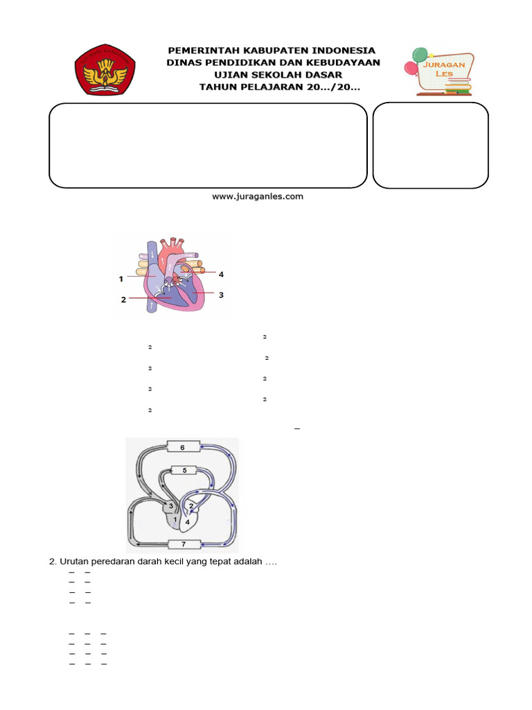 Soal US IPA Kelas 6 Sistem Peredaran Darah Pada Manusia | PDF