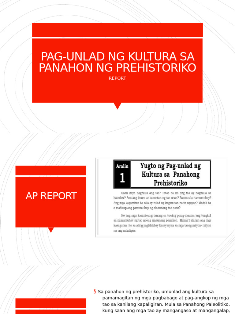 Presentation AP Report | PDF