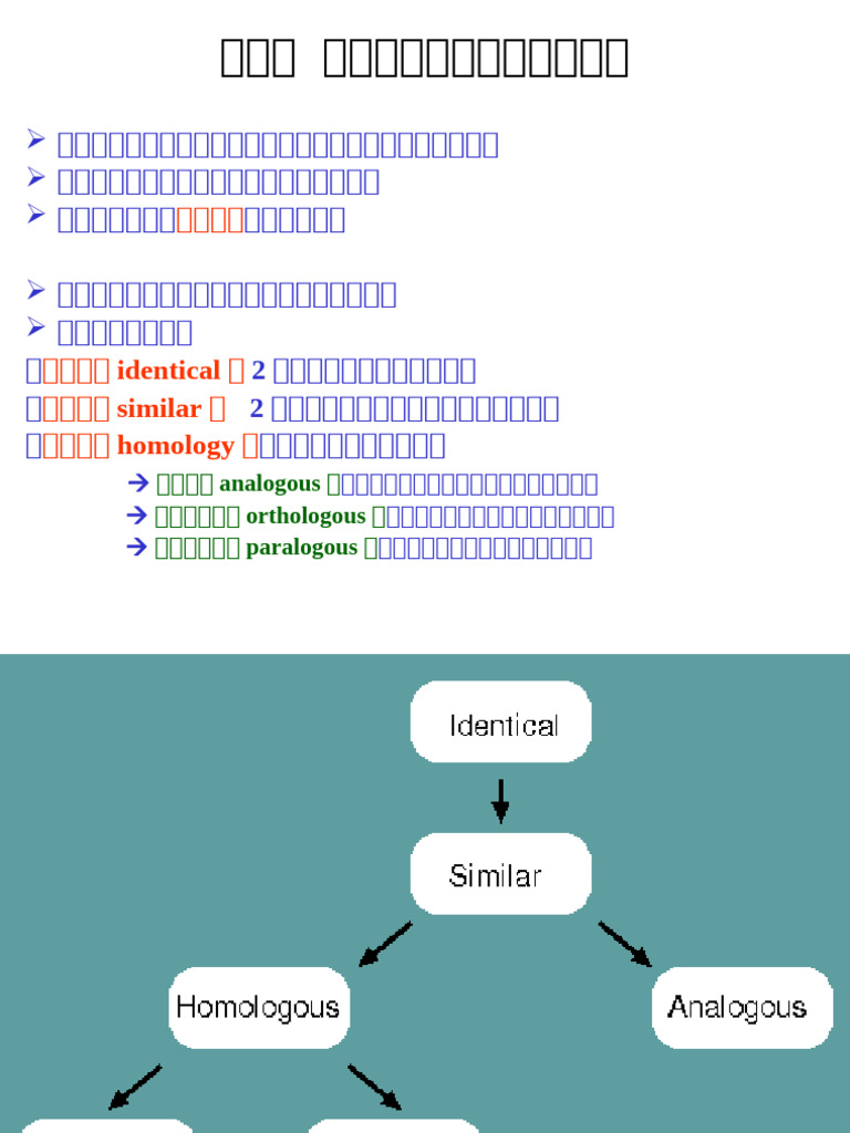 Phylogenetic Analysis and Tree Methods | PDF | Phylogenetics ...