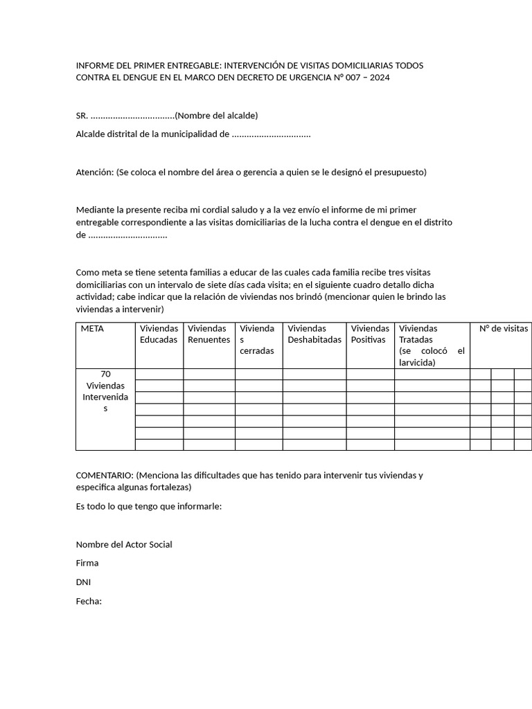 Modelo de Informe Del Primer Entregable | PDF | Derecho