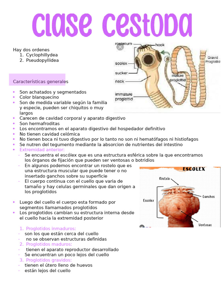 Cestoda Cambiar | PDF | Zoología | Biología
