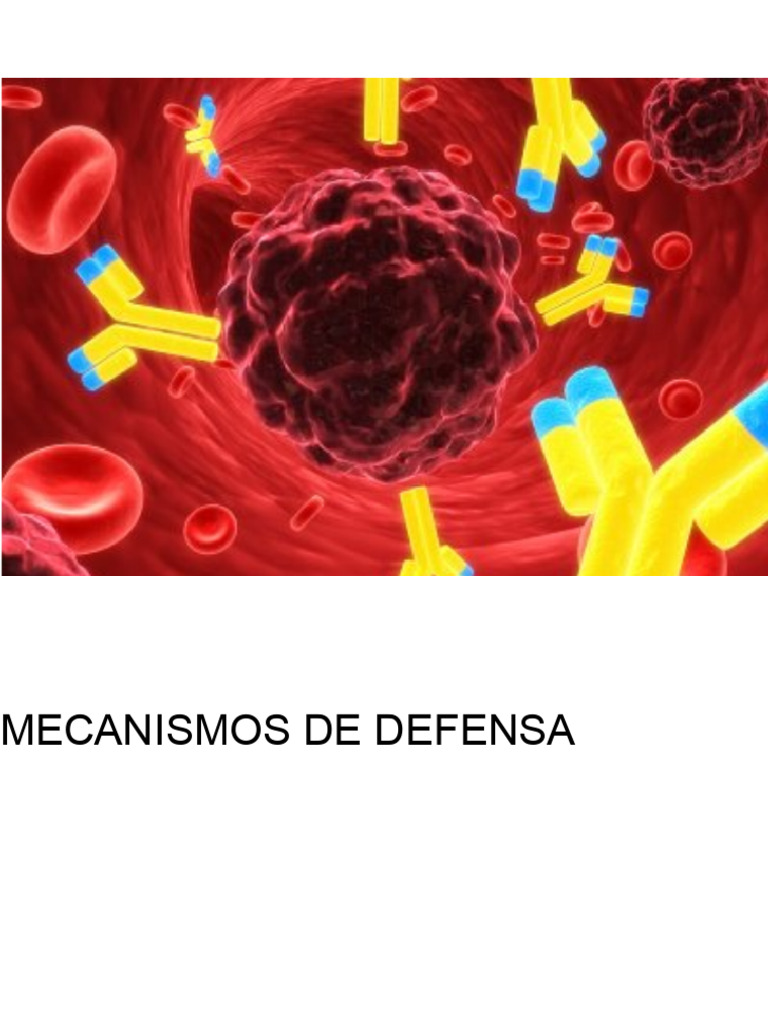 Inmunologia Act1 (24) PPT | PDF | Sistema inmune | Infección