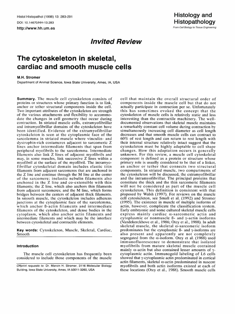 The Cytoskeleton in Skeletal, Cardiac and Smooth Muscle Cells | PDF ...