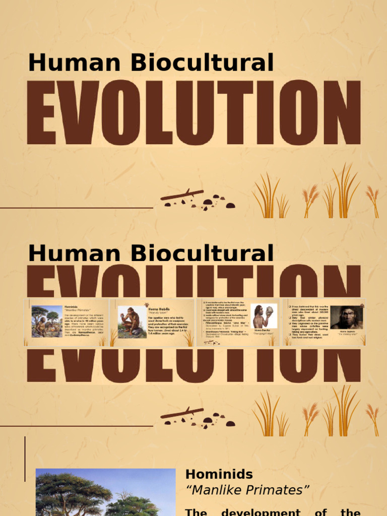 UCSP-Biocultural Evoluion | PDF | Homo | Human Evolution